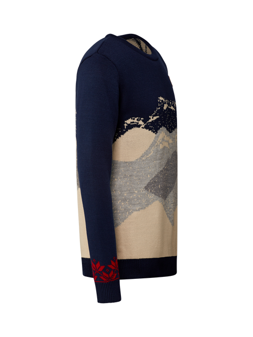 FC Red Bull Salzburg Winter Sweater | Red Bull Shop US