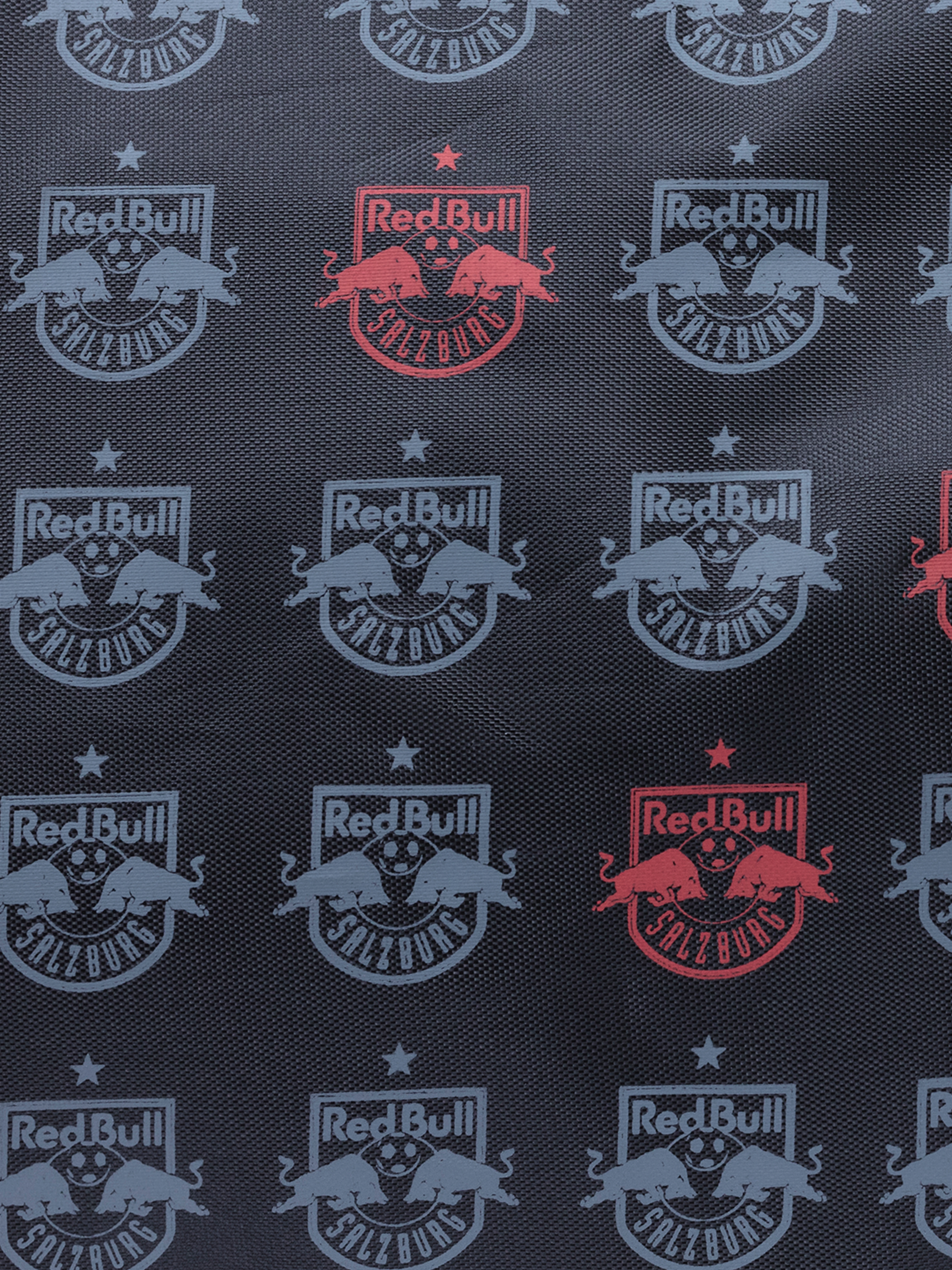 FC Red Bull Salzburg Flash Backpack | Red Bull Shop US